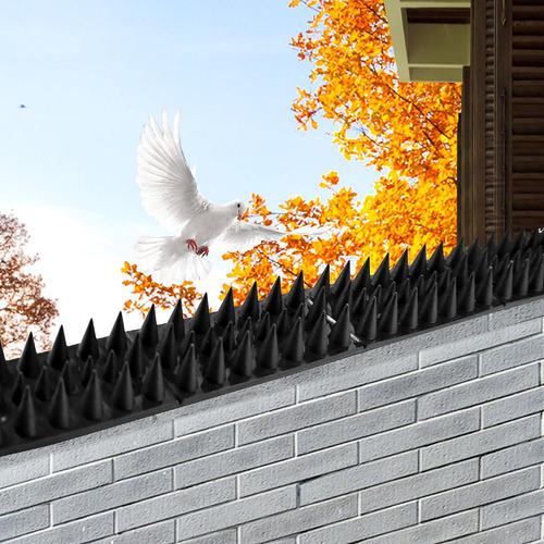 Oakleigh Home Black Possum Fence Spikes Temple Webster